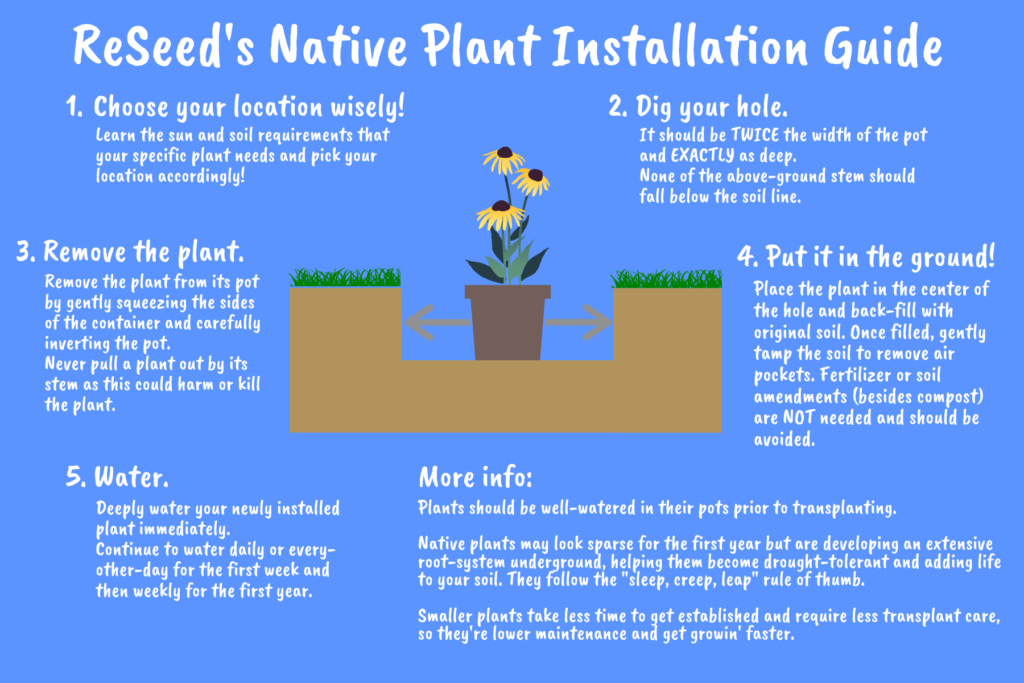 Planting and Growing Tips - ReSeed Native Plant Nursery